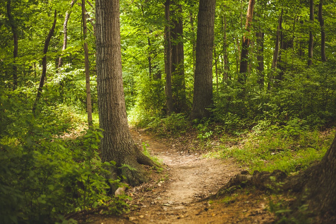 How does ManMade Woods find our environmentally friendly natural wood